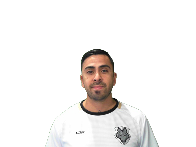 SeriesFutsal